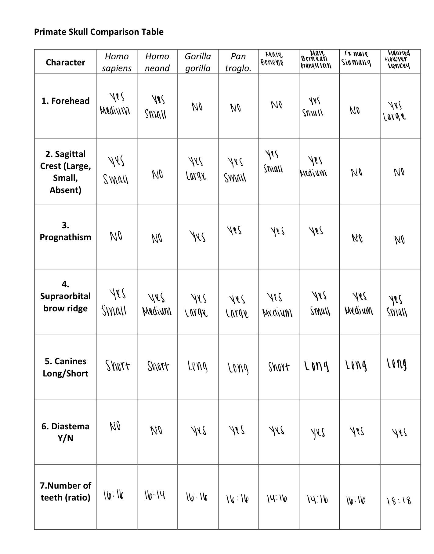 Solved Create a phylogeny of morphological characters using | Chegg.com