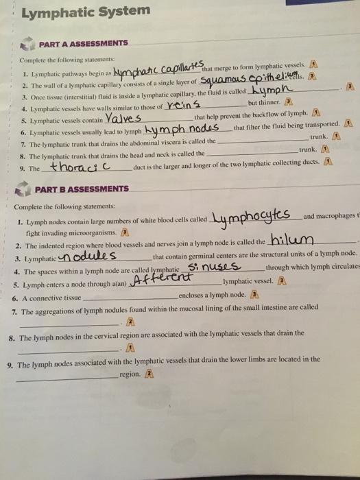 Solved Lymphatic System PART A ASSESSMENTS Complete the | Chegg.com