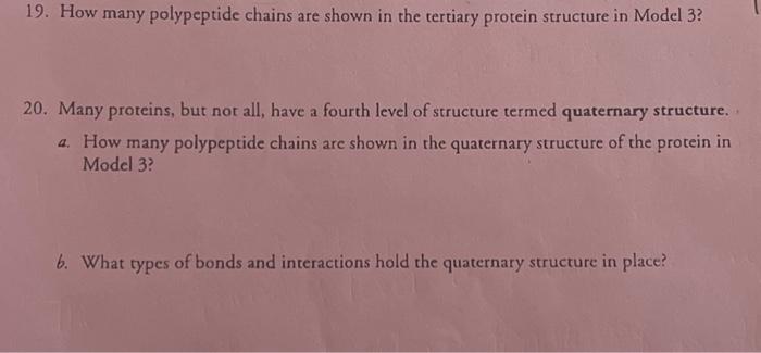Solved Model 3 - Protein Structure (Part B) Tertiary | Chegg.com