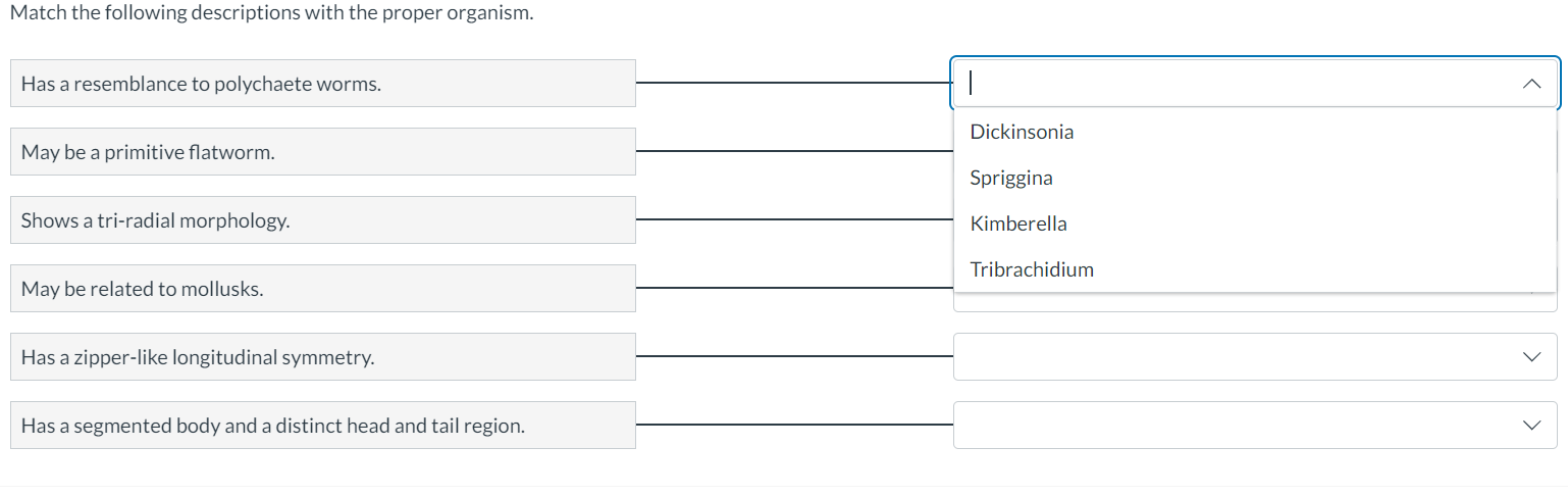 Solved Match the following descriptions with the proper | Chegg.com