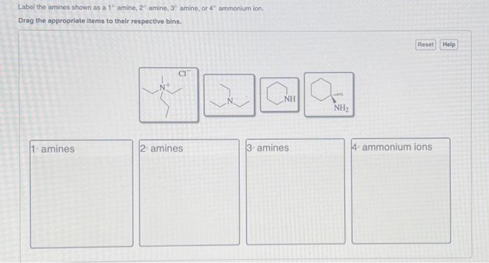 Solved Label the amines shown as a \\( 1^{*} \\) amine, \\( | Chegg.com