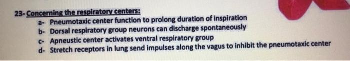 Solved 23- Concerning the respiratory centers: a- | Chegg.com