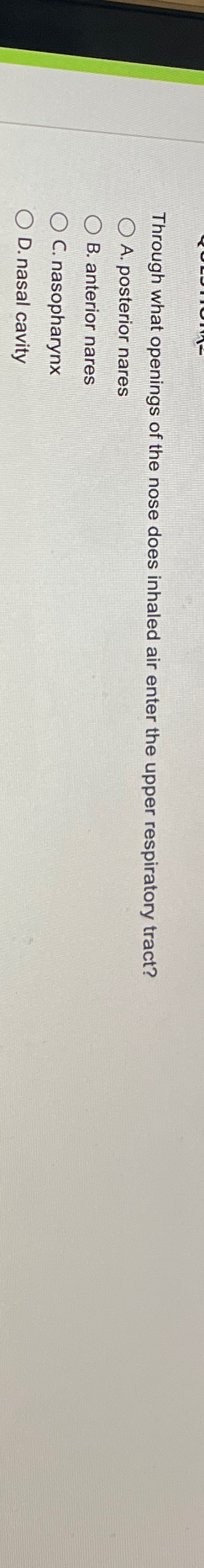 Solved Through what openings of the nose does inhaled air | Chegg.com