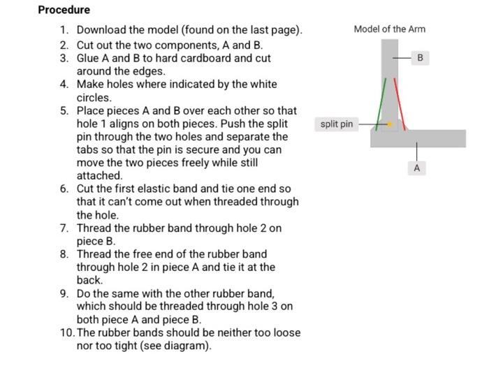 Solved Model of the Arm B split pin A Procedure 1. Download | Chegg.com