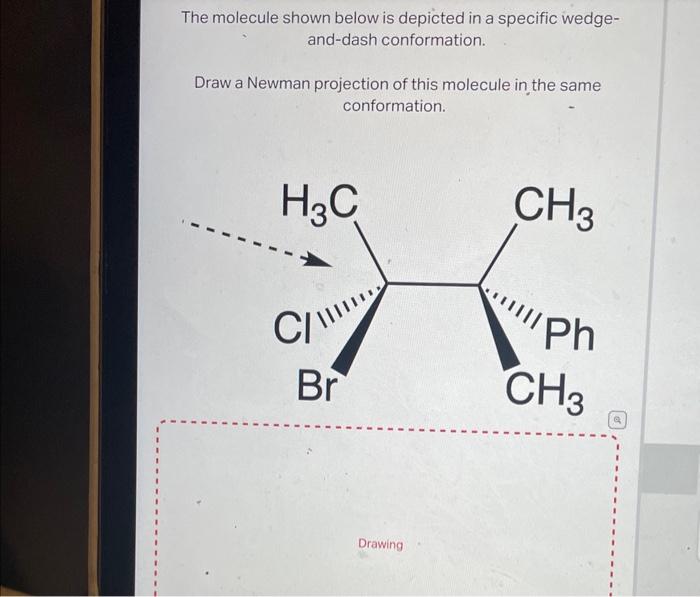 Solved The molecule shown below is depicted in a specific | Chegg.com