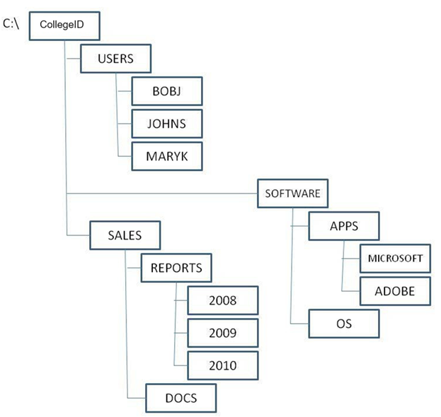 Solved Working from the Command Line 1. ﻿Change your | Chegg.com