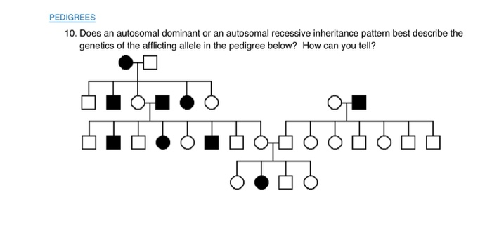 Solved MULTIPLE ALLELES And CODOMINANCE Sometimes There Are Chegg