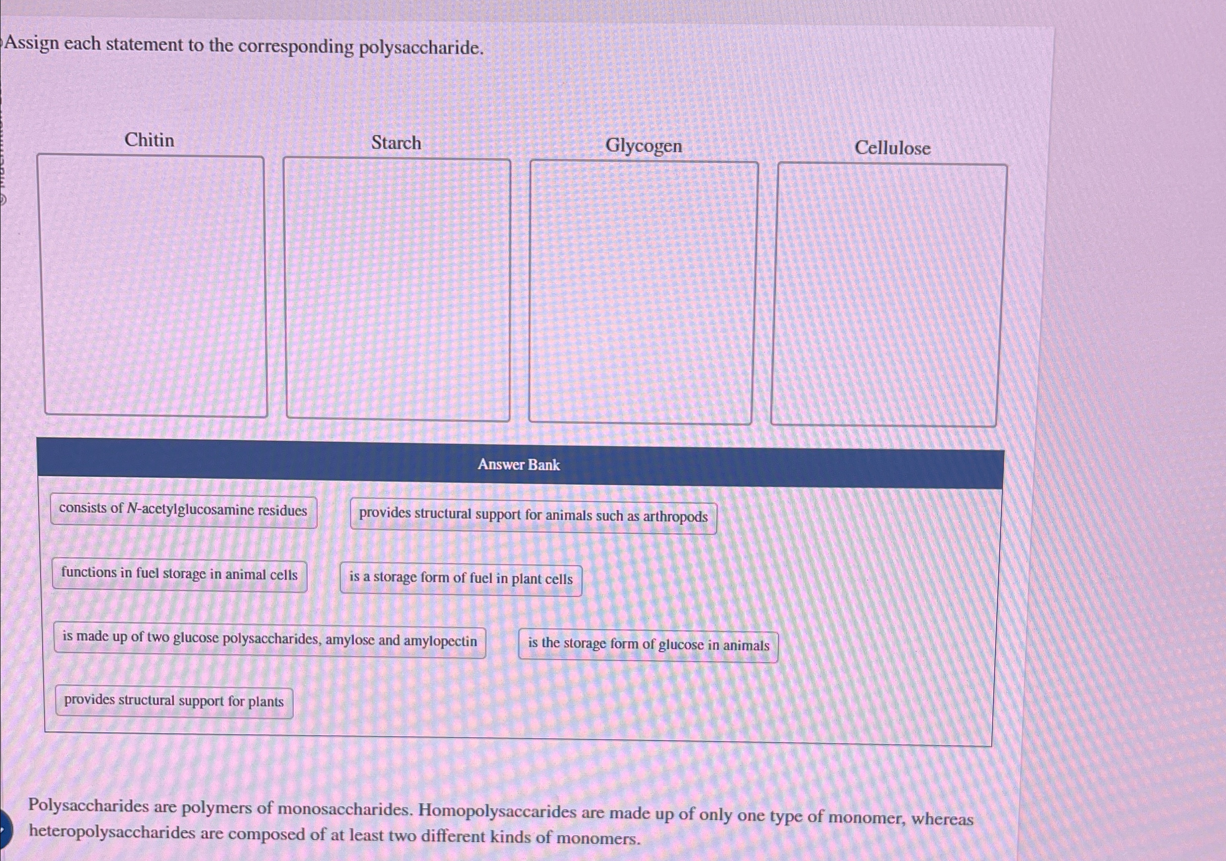 Solved Assign each statement to the corresponding | Chegg.com