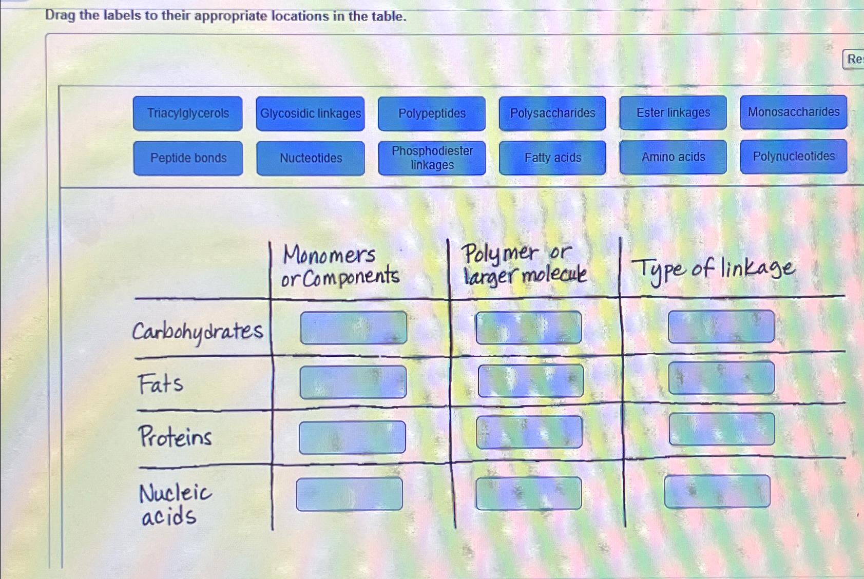Solved Drag the labels to their appropriate locations in the | Chegg.com