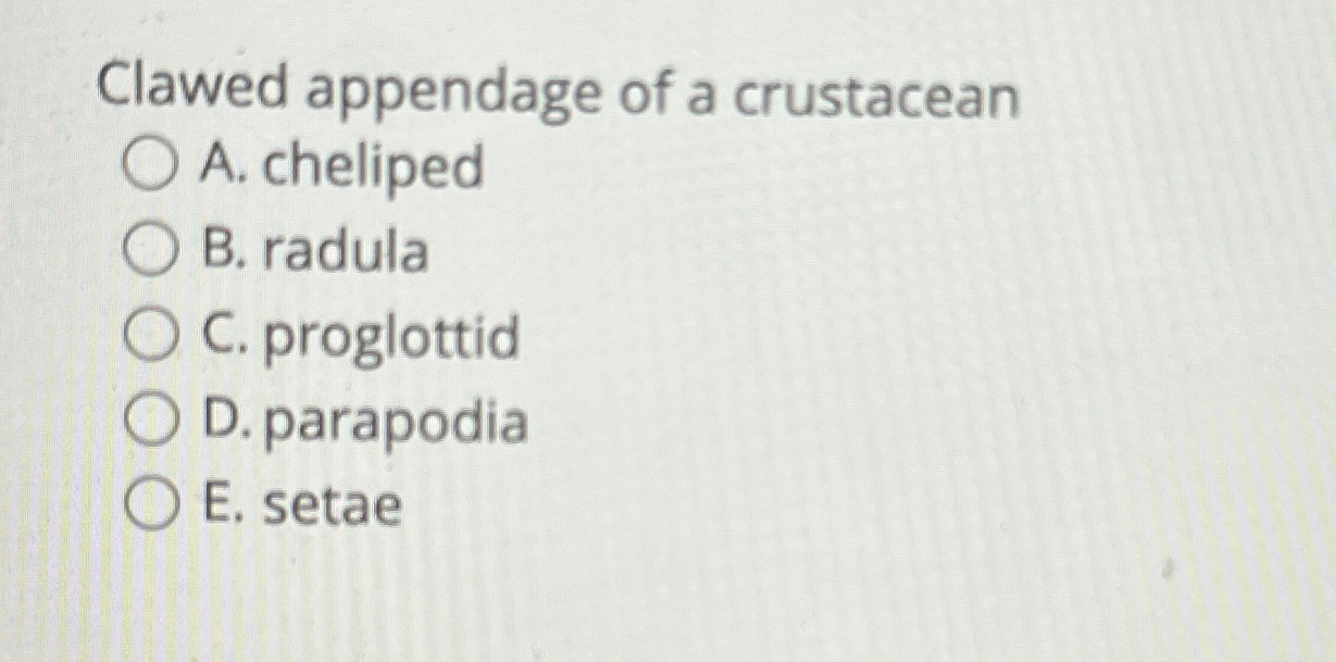 Solved Clawed appendage of a crustaceanA. ﻿chelipedB. | Chegg.com