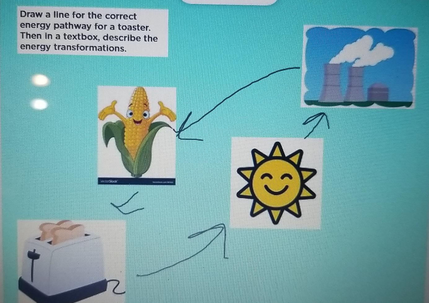 Solved Draw a line for the correct energy pathway for a | Chegg.com