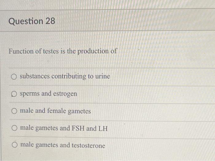 Solved Question 28 Function of testes is the production of O | Chegg.com