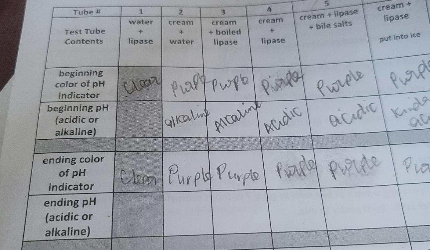 Tube # 1 2 3 4 cream + lipase 5 cream + lipase + bile | Chegg.com