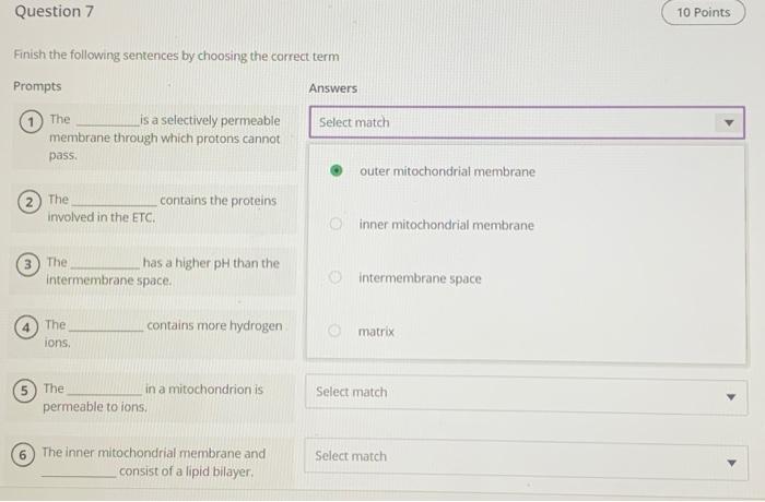 Solved Finish the following sentences by choosing the | Chegg.com