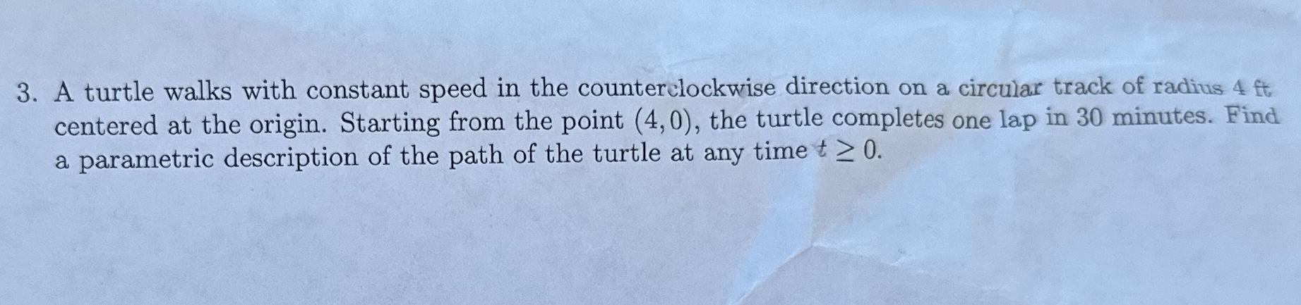 Solved A turtle walks with constant speed in the | Chegg.com
