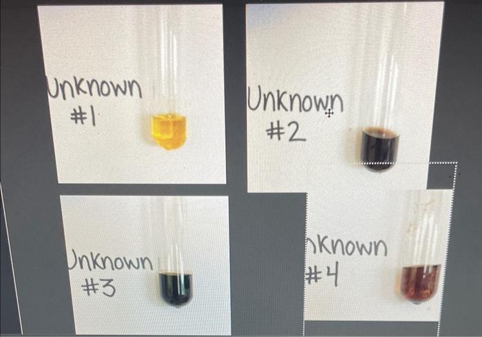 Solved Unknown #1Procedure E: Identification of the Unknown | Chegg.com