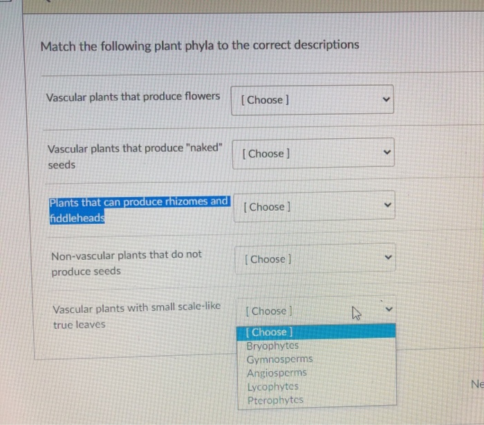 Solved Match the following plant phyla to the correct | Chegg.com