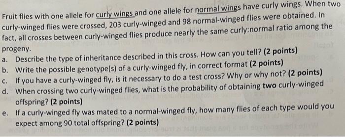 Solved Fruit flies with one allele for curly wings and one | Chegg.com