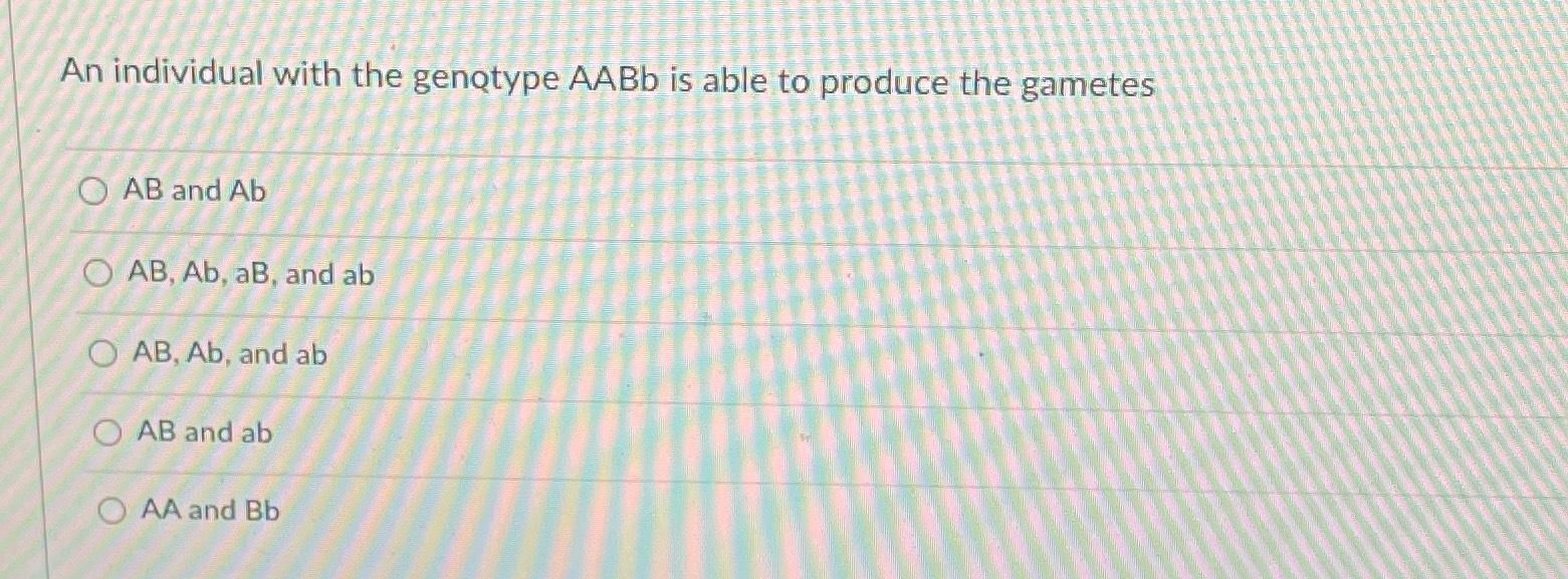 Solved An individual with the genotype AABb is able to | Chegg.com