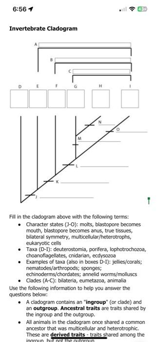 Solved Hi, I'm stuck on filling out this cladogram.The info | Chegg.com