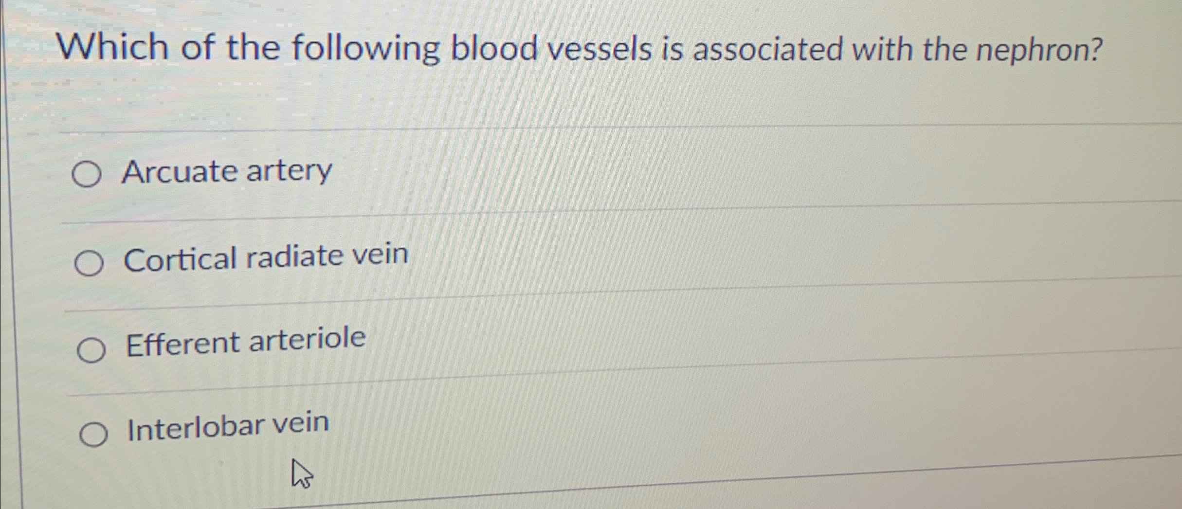 Solved Which of the following blood vessels is associated | Chegg.com