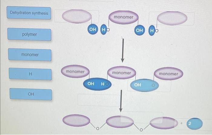 Solved Below is an example of a chemical reaction Drag the | Chegg.com