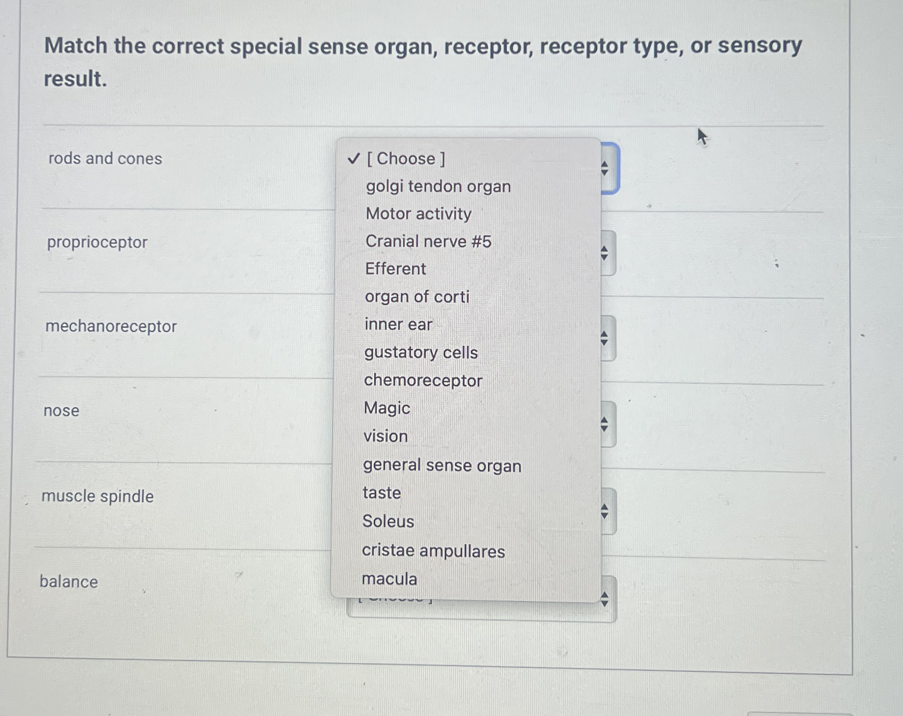 Solved Match the correct special sense organ, receptor, | Chegg.com