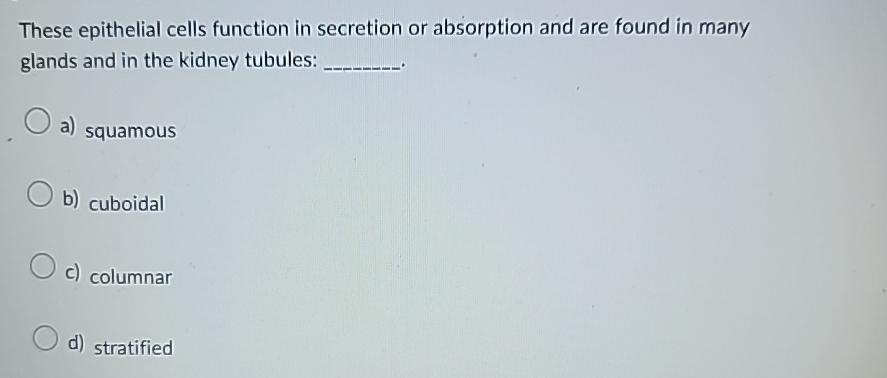 Solved These epithelial cells function in secretion or | Chegg.com