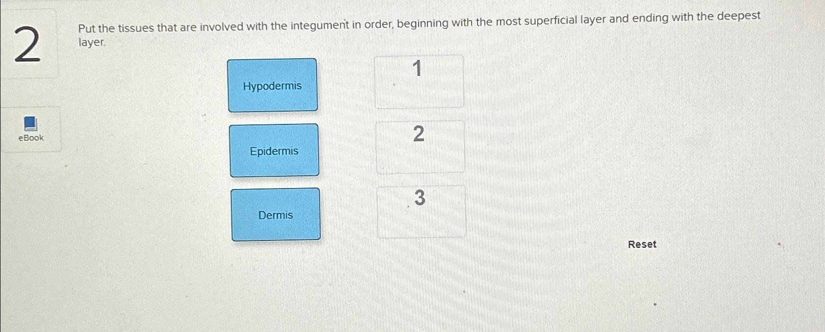 Solved Put the tissues that are involved with the integument | Chegg.com