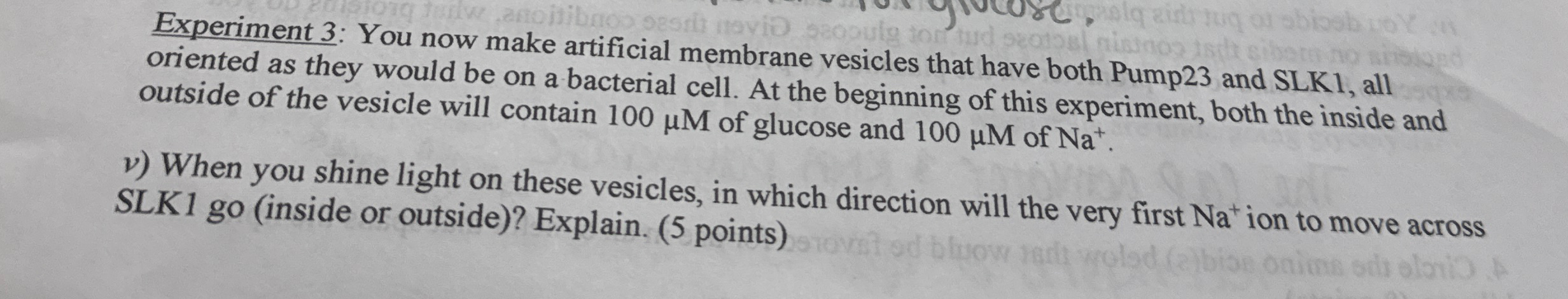 Solved Experiment 3: You now make artificial membrane | Chegg.com