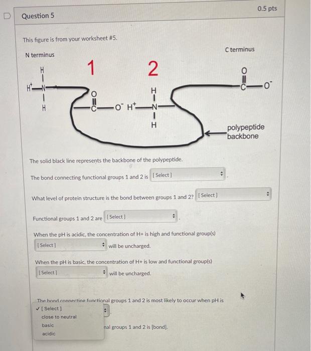 Solved This figure is from your worksheet \#5. The solid | Chegg.com