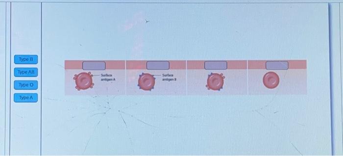 Solved a=0=0 | Chegg.com