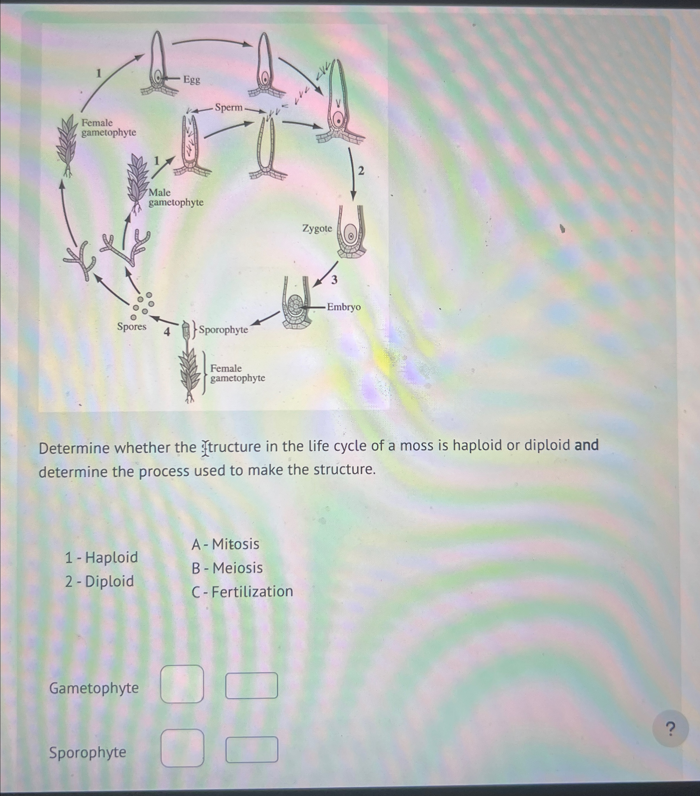 Solved Determine whether the the tructure in the life cycle | Chegg.com