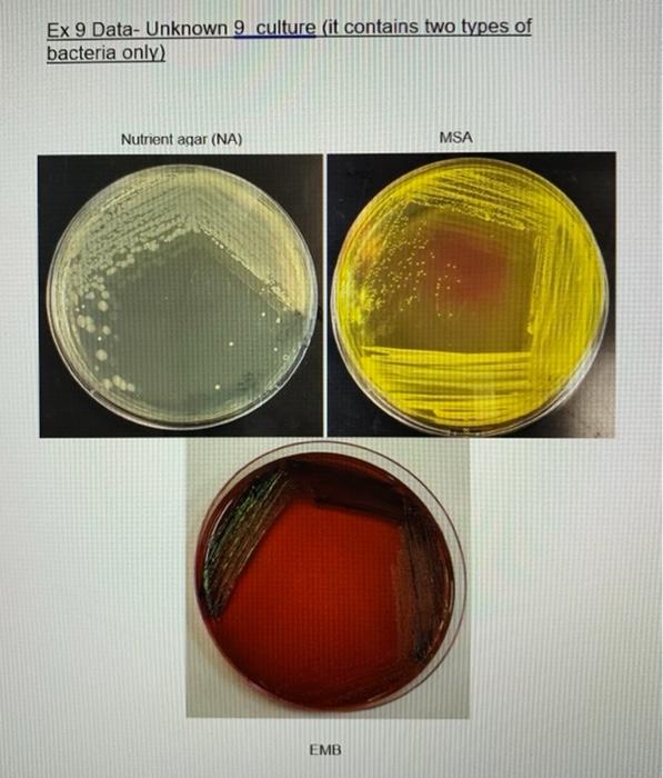 Solved Ex. 9 Special Media Data Sheet- TURN IN Complete the | Chegg.com