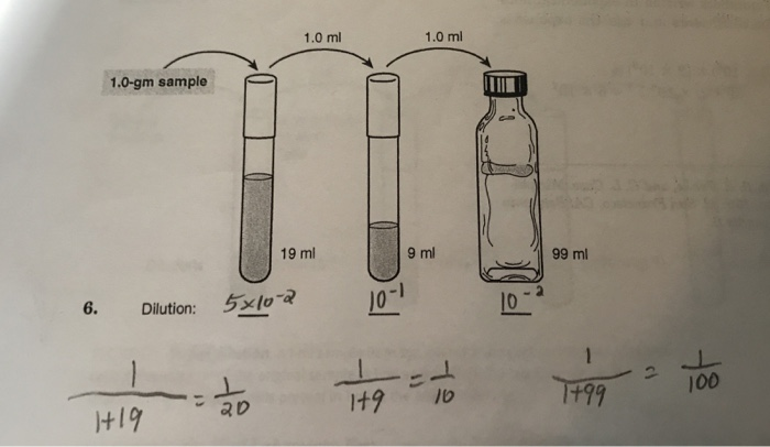 Solved 1 ml 1 ml 1 ml 1-ml sample 99 mi 99 ml 9 mi 9 ml | Chegg.com