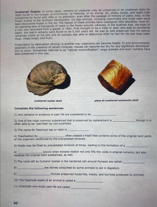Solved Lab 17: Fossils and Stratigraphy Uwing things are | Chegg.com