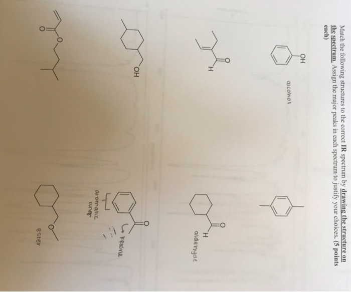 Solved Match the following structures to the correct IR | Chegg.com
