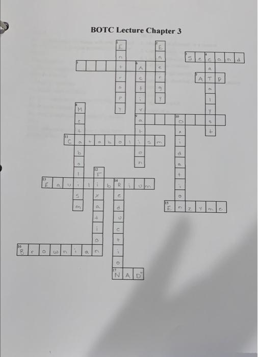 Solved BOTC Lecture Chapter 3 n S Od A ATIP M + 11 b 1 + 1 6 | Chegg.com Solved BOTC Lecture Chapter 3 n S Od A ATIP M + 11 b 1 + 1 6 | Chegg.com