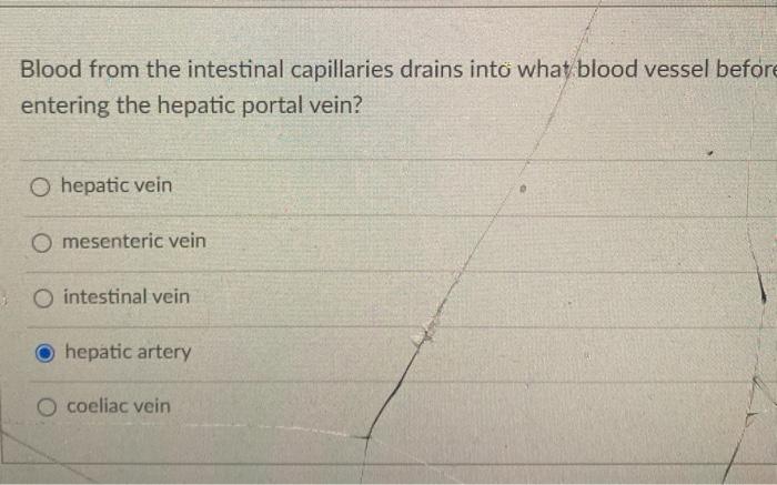 Solved Blood from the intestinal capillaries drains into | Chegg.com