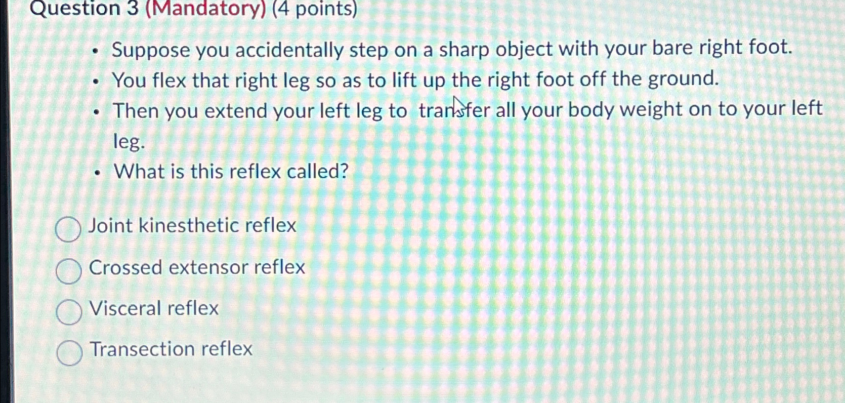 Solved Question 3 (Mandatory) (4 points)Suppose you | Chegg.com Solved Question 3 (Mandatory) (4 points)Suppose you | Chegg.com