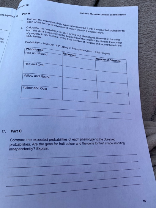 Solved Unit C: Assignment 60 odule 6: Mendelian Genetics and | Chegg.com