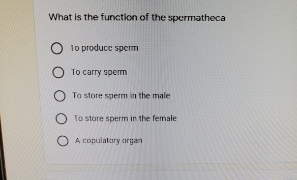 Solved What is the function of the spermatheca O to produce | Chegg.com