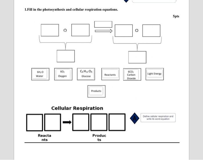 Solved 1.Fill in the photosynthesis and cellular respiration | Chegg.com