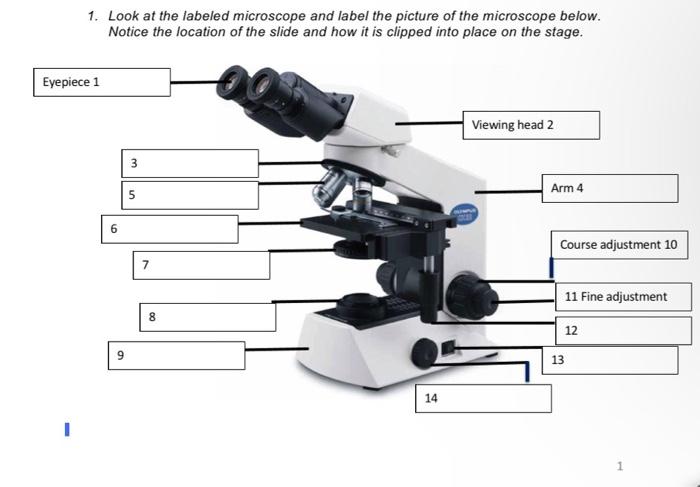 Solved 1. Look at the labeled microscope and label the | Chegg.com