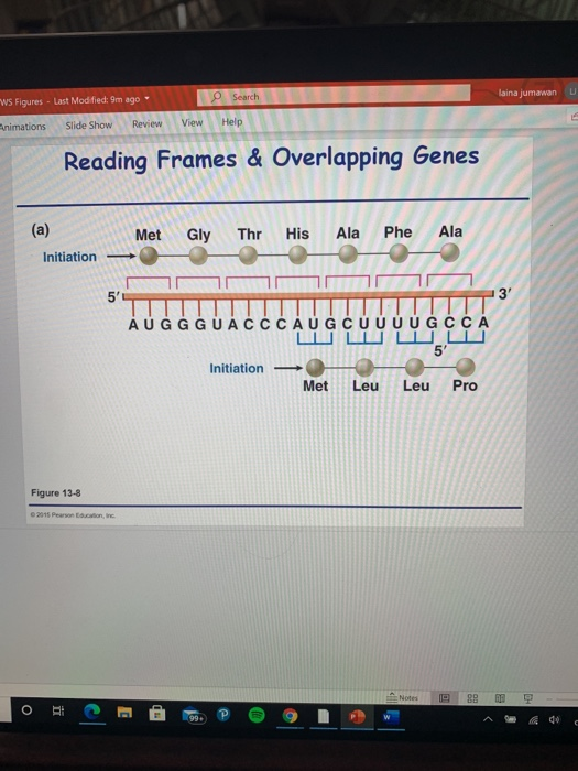 Solved Figure 13-8: Reading Frames 1. Which codon (amino | Chegg.com
