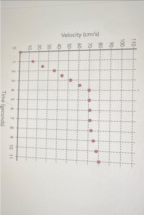 Solved What is the displacement of the object from t=0 until | Chegg.com