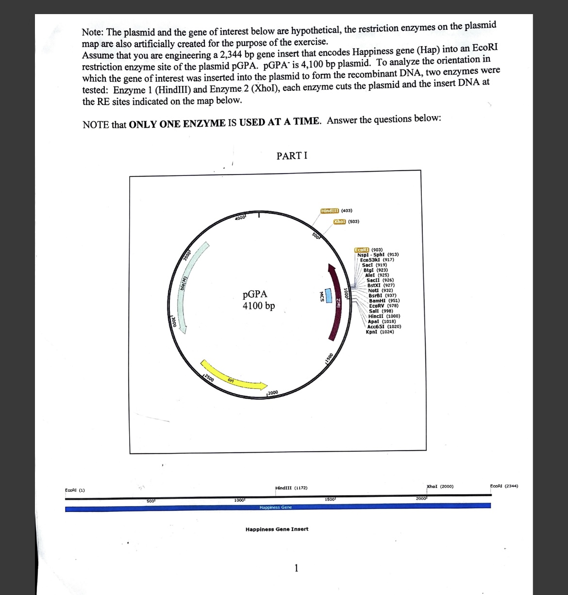 Solved A)Draw a schematic of the recombinant plasmid | Chegg.com