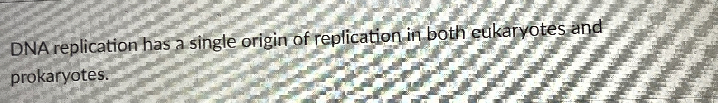 Solved DNA replication has a single origin of replication in | Chegg.com