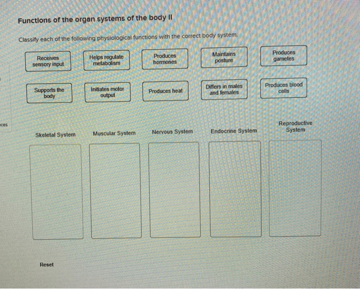 Solved classify each of the following physiological | Chegg.com