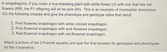 Solved In snapdragons, if you cross a true-breeding plant | Chegg.com